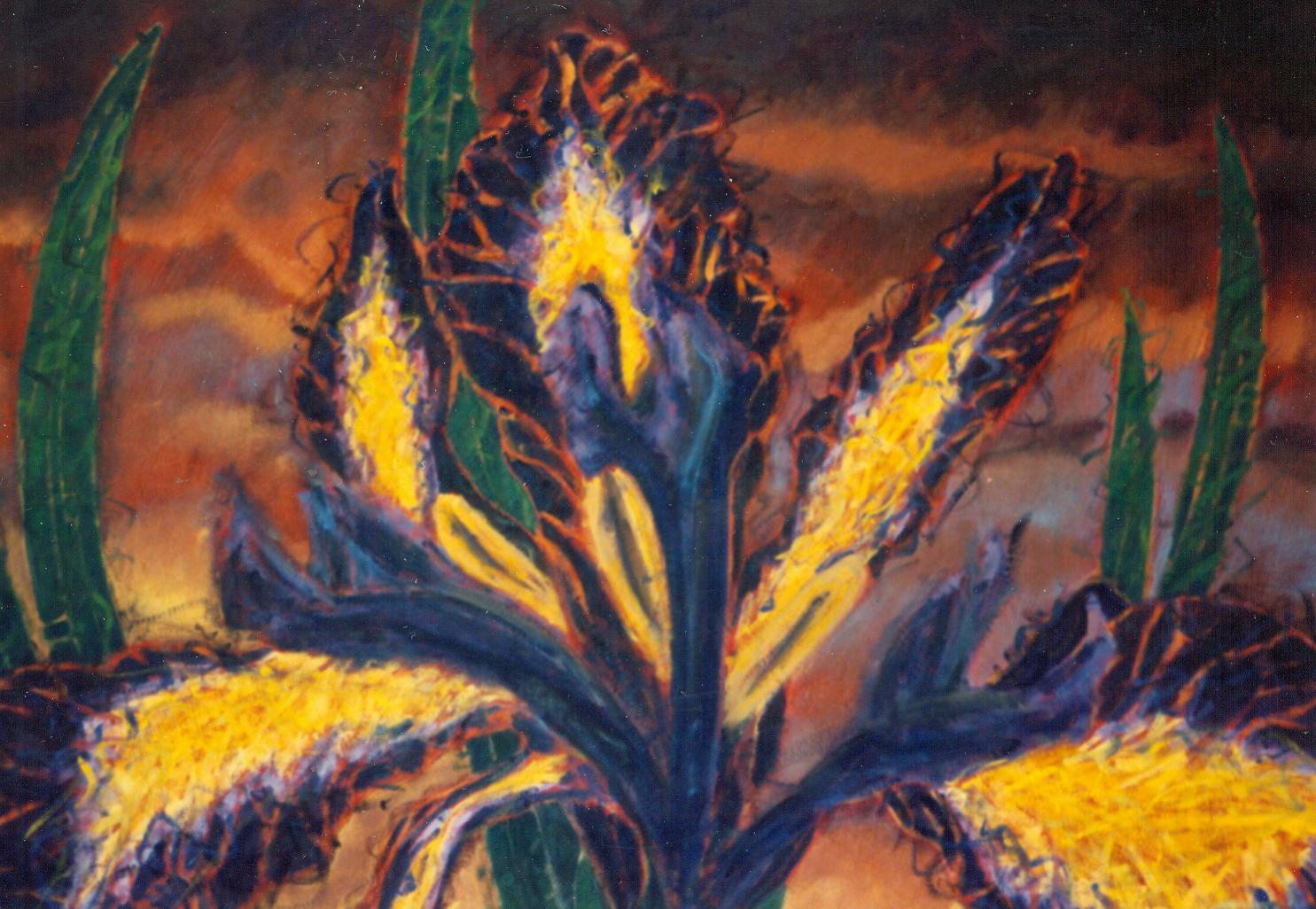 Somewhither Arts News - Somewhither Arts